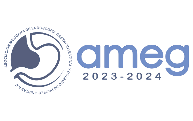 Agenda AMEG 2024